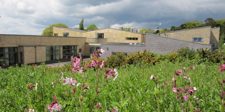 Forest Way School - DSA Environment & Design Ltd