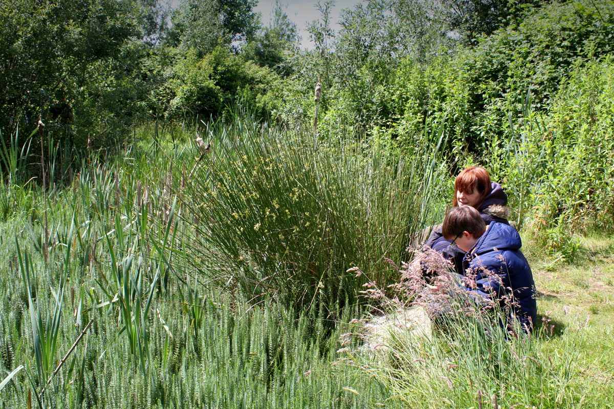 Forest Way School - DSA Environment & Design Ltd